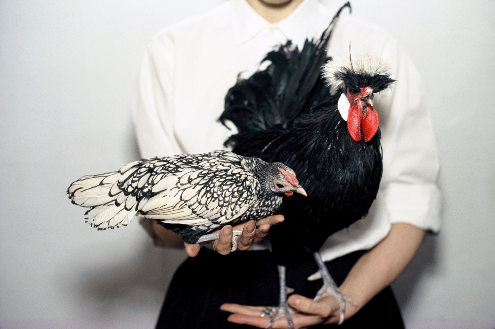 SKIN IN THE GAME — Group show at KW Institute for Contemporary Art ...